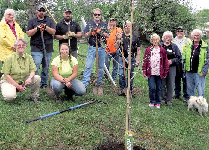 Trees planted in Fred Brooks Park | News, Sports, Jobs - The Intermountain